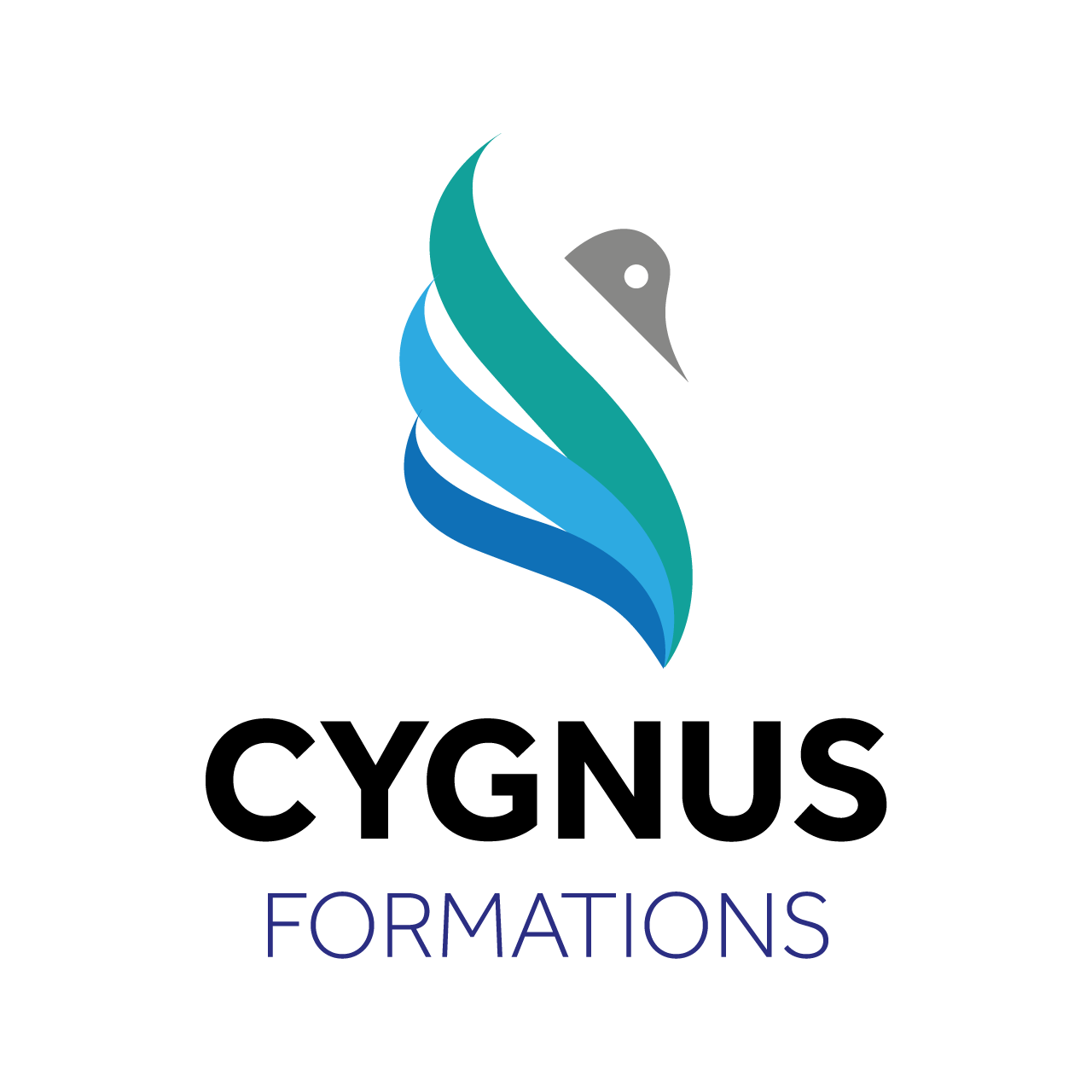 Formateur détail d'une formation - Cygnus Formations